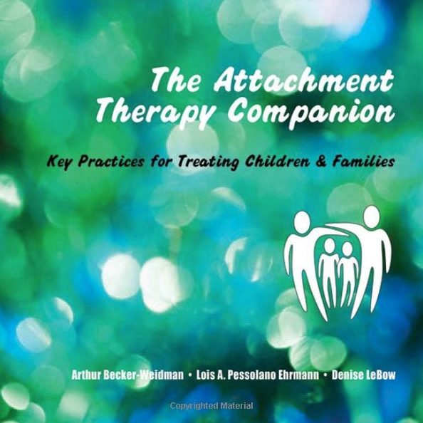 The Attachment Therapy Companion: Key Practices for Treating Children ...